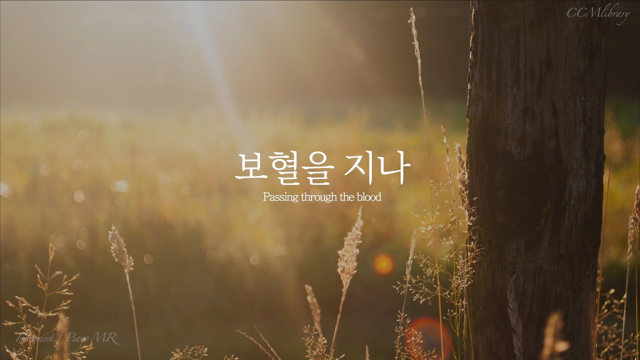 보혈을 지나 피아노 MR | Passing through the blood You are my son Piano ...
