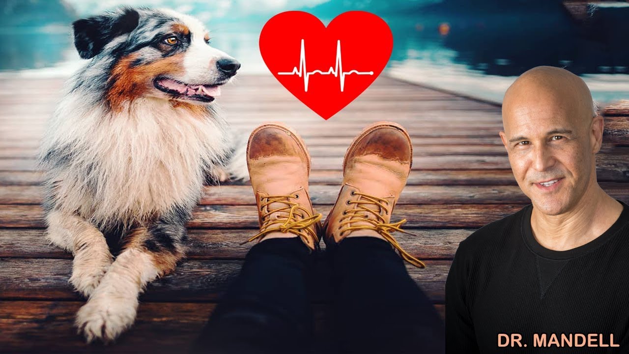 SCIENCE REVEALS HOW TO LIVE LONGER & HEALTHIER - Dr Alan Mandell, DC ...