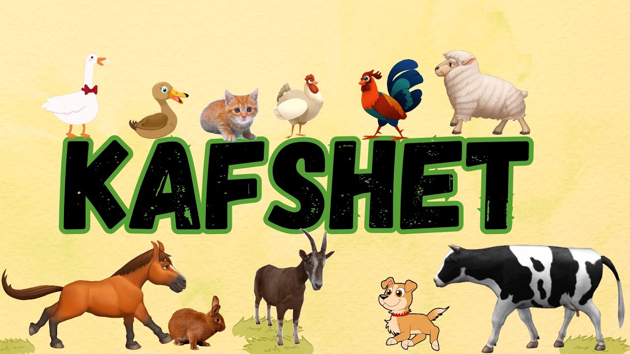 Kafshët shtëpiake 🧲 - YouTube