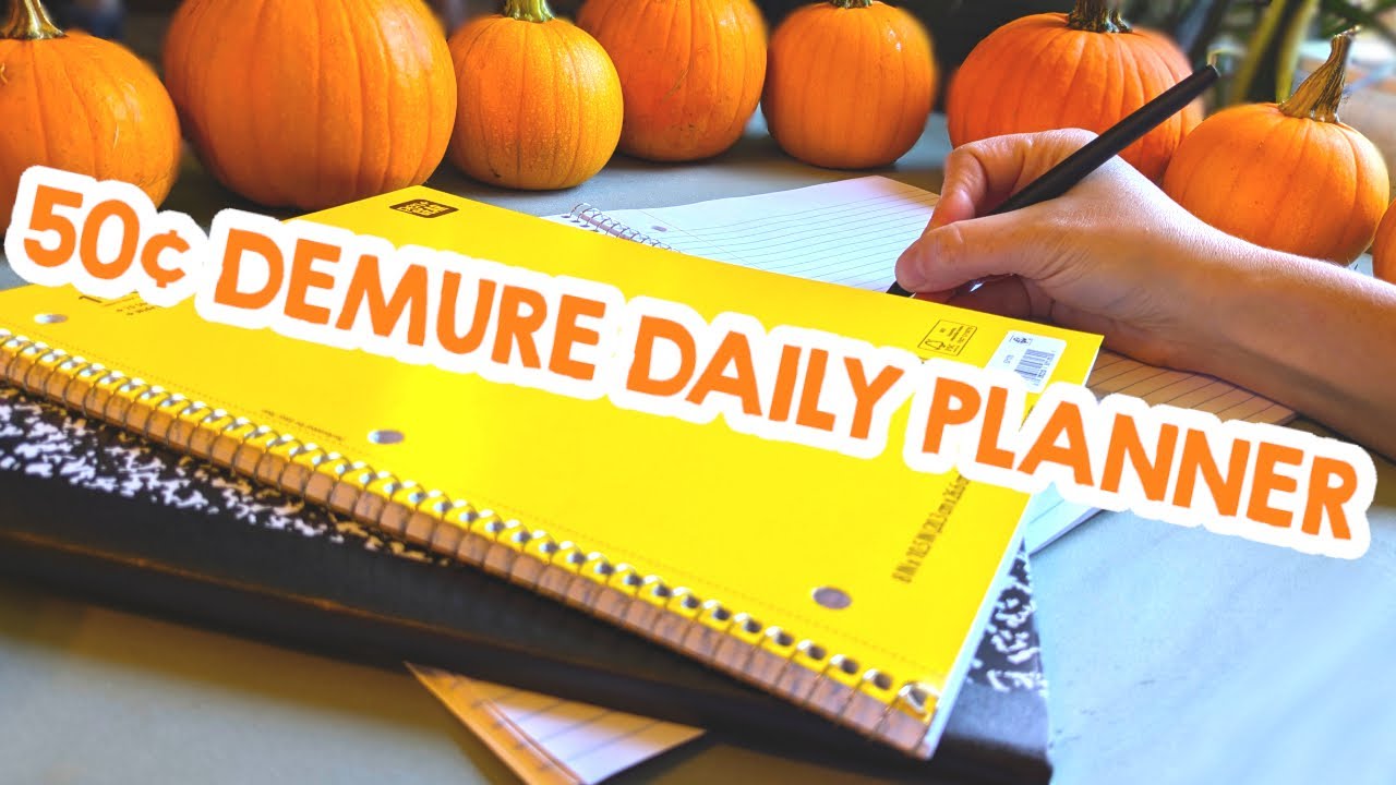 50¢ Demure 😁 Daily Planner - YouTube