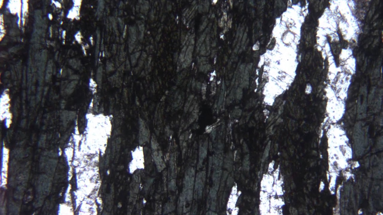 Amphibole au microscope polarisant (LPNA) - YouTube