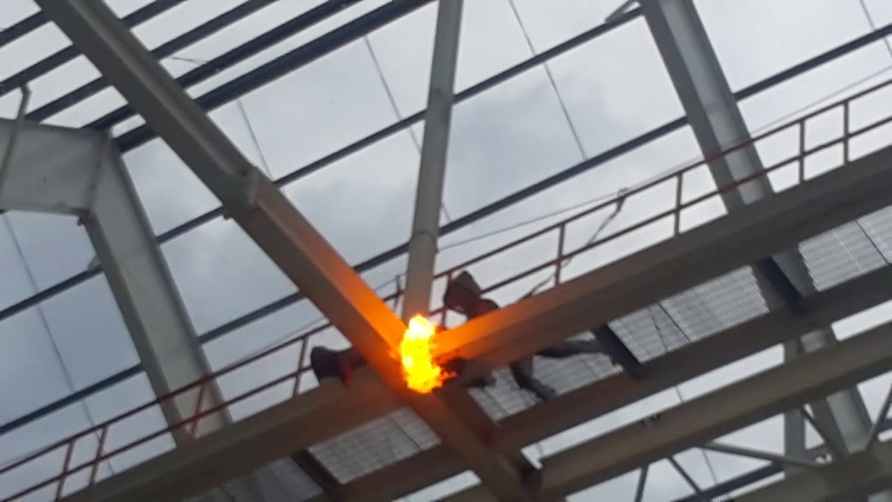 Team Bomba Sipitang halau lebah di samur project - YouTube