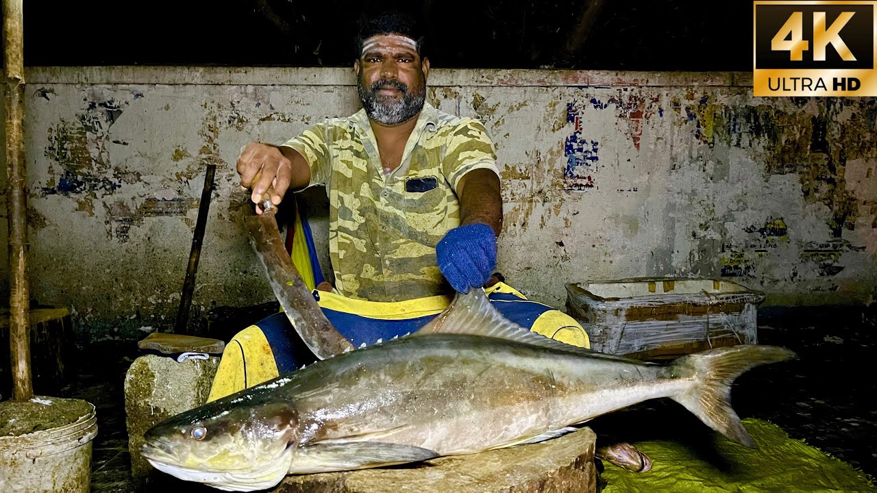 Kadora fish cutting video/fishcuttingrs#fishcuttingrs #kasimedu #fish ...