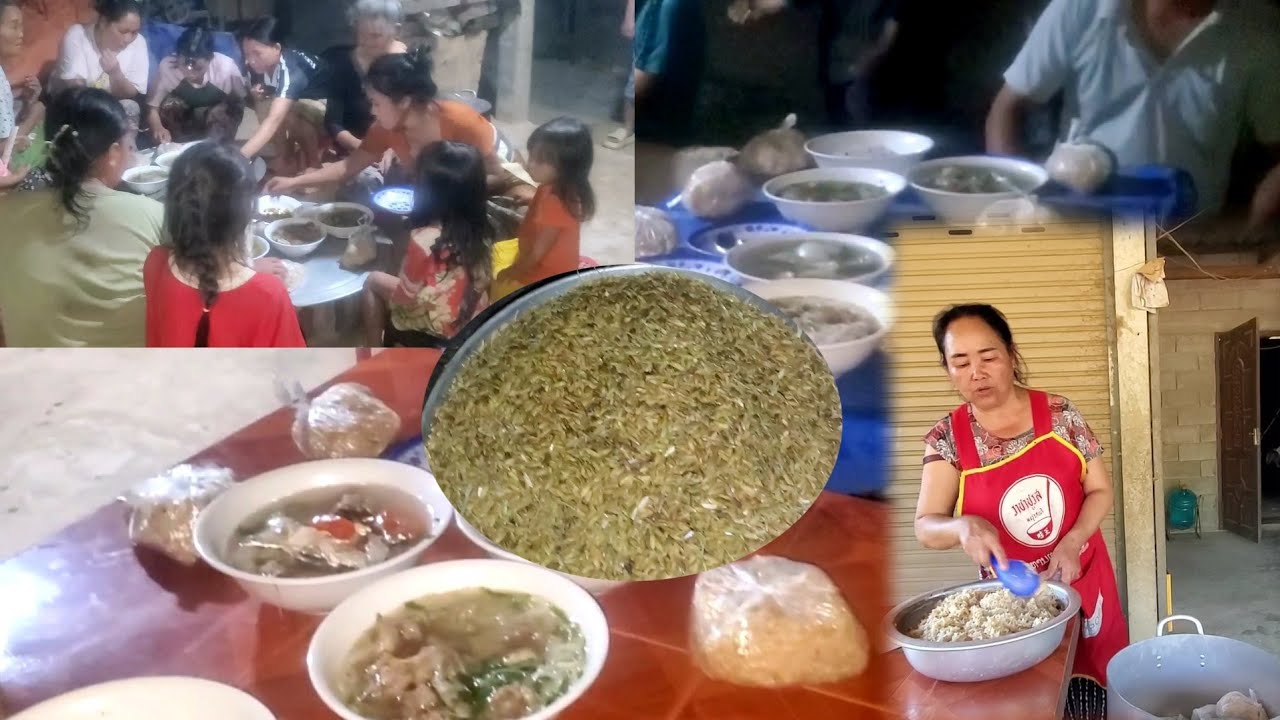 nrog peb noj mov nplej tshiab nawb tsi muaj dab tsi li peb sawv daws ...