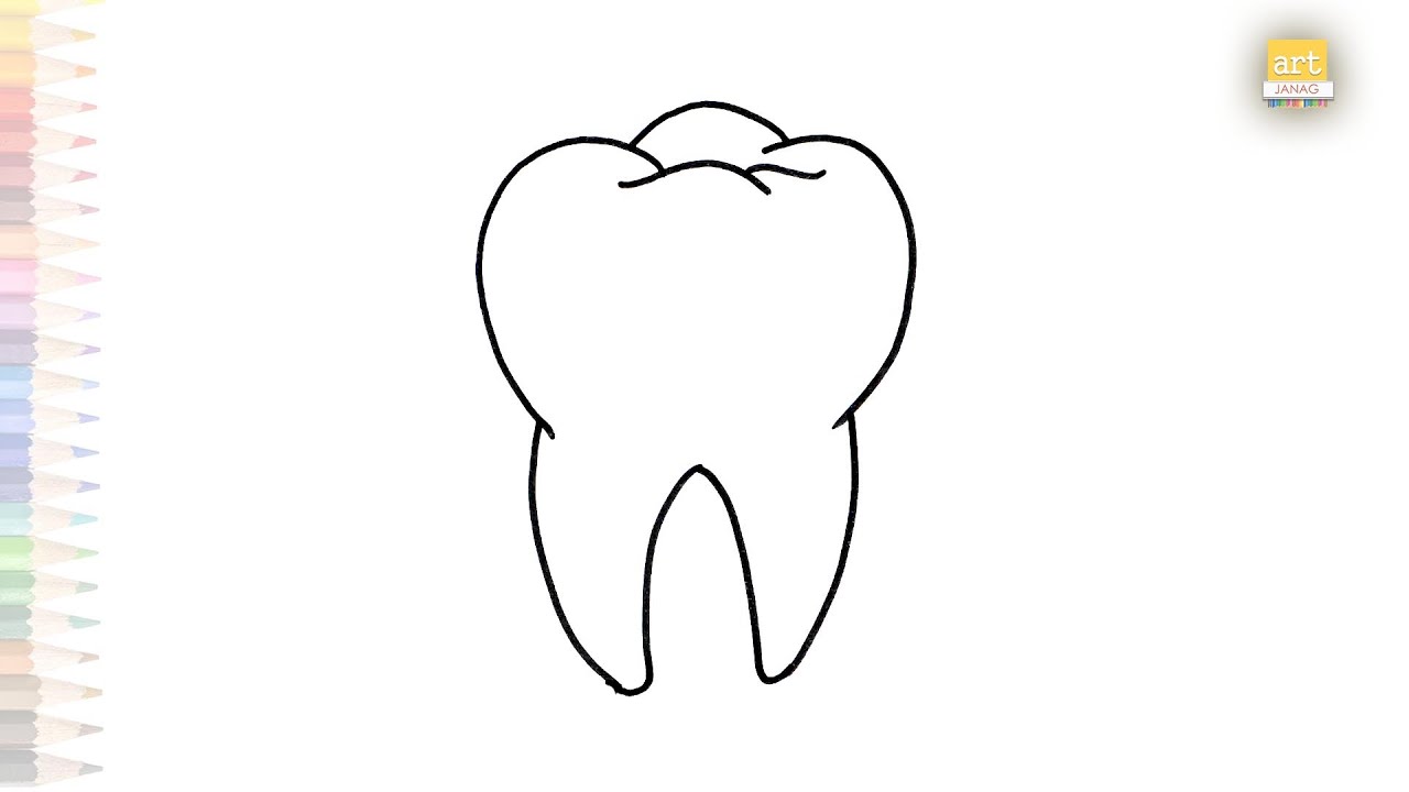 Human tooth diagrams | Teeth drawing videos | How to draw Tooth step by ...