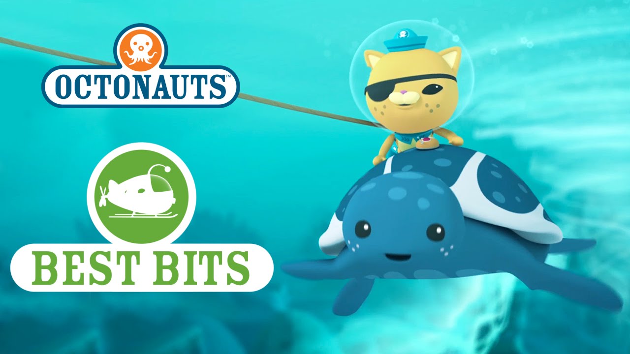 Octonauts - Kwazii's Best Bits 2 - YouTube