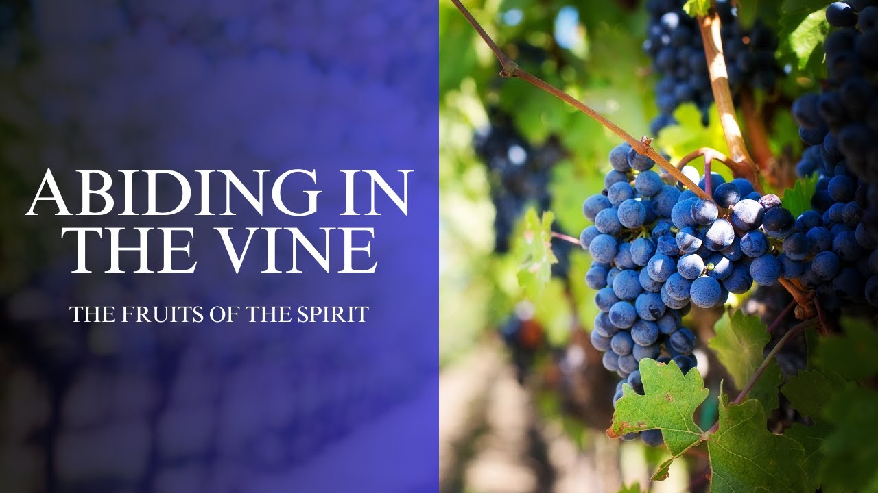 Abiding in the Vine: The fruits of the Spirit- introduction - YouTube