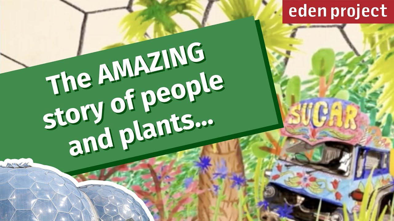 Animated story of the Eden Project: A Living Theatre of Plants and ...