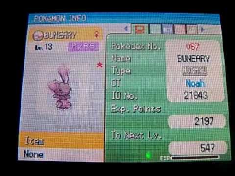 LIVE REACTION shiny buneary in platinum after about 7,000 encounters + pokerus
