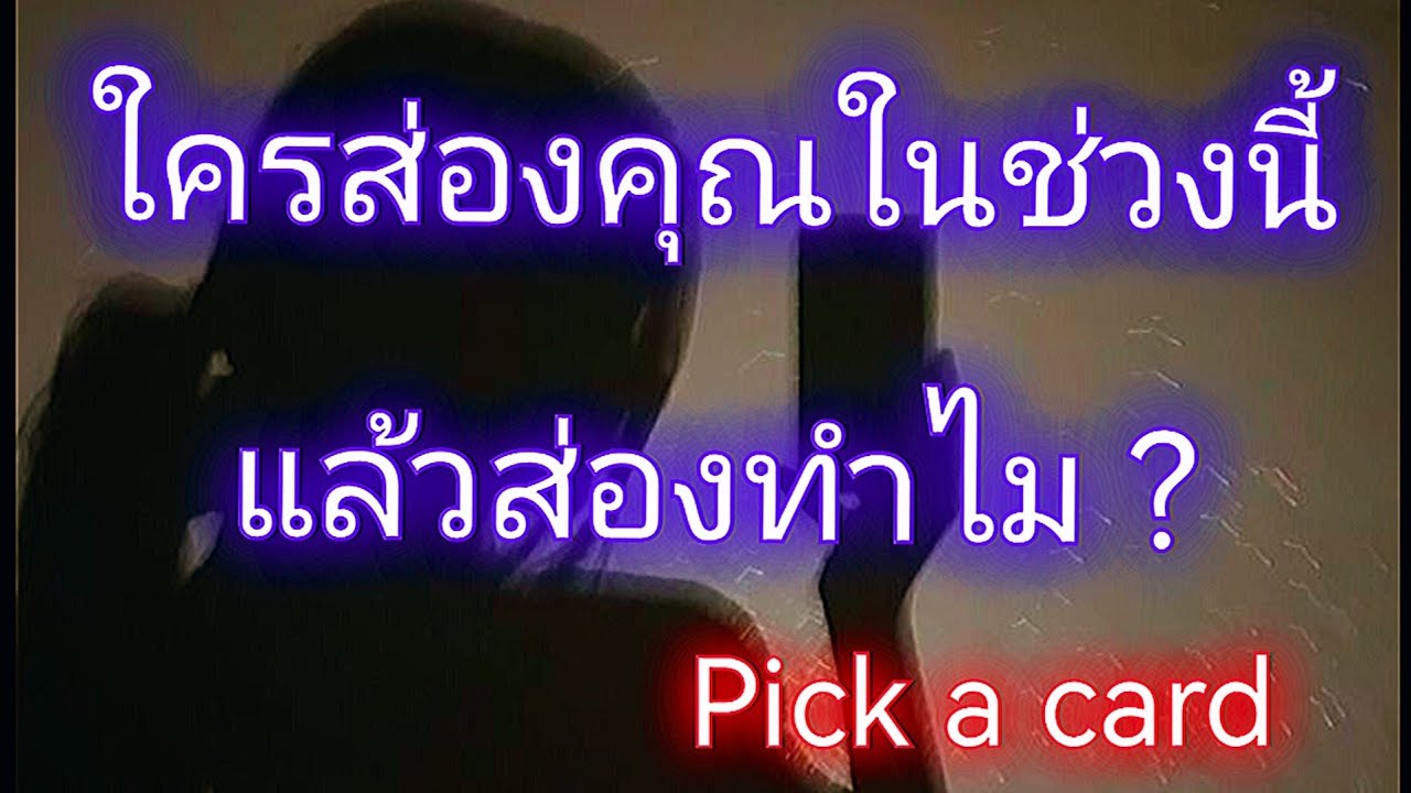 ☔Pick a card🌛 ใครส่องคุณในช่วงนี้ แล้วส่องทำไม ? 💬🤓🌆💓🌹#timeless #เลือก ...