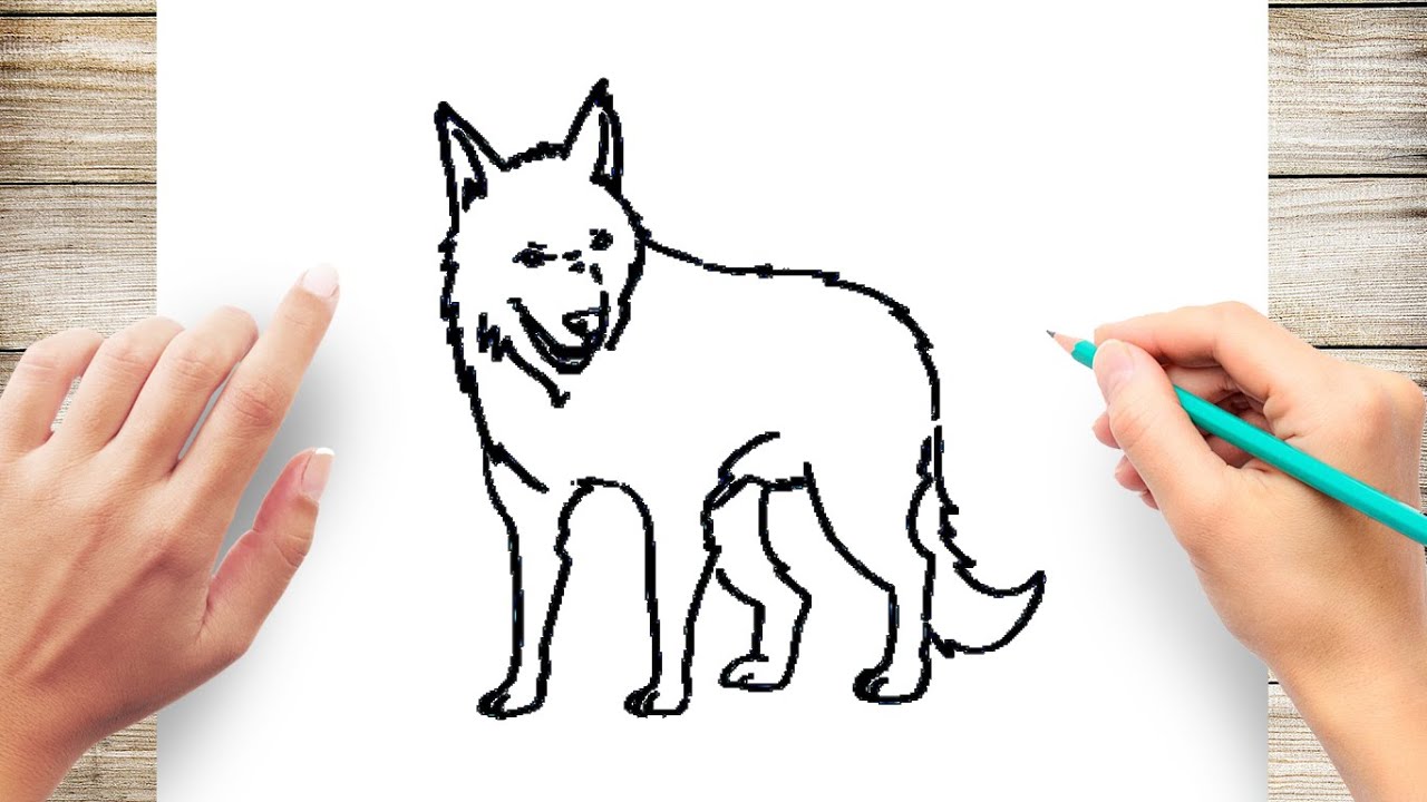 How to Draw a Simple Wolf Step by Step - YouTube