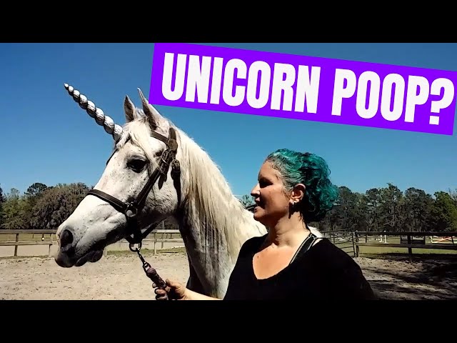 Unicorn Poop Rainbow