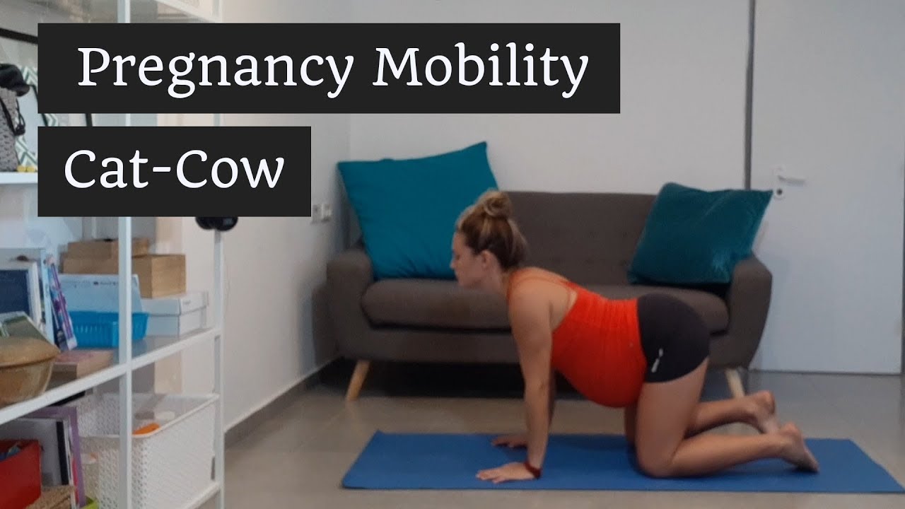 Cat-Cow // Pregnancy Mobility - YouTube