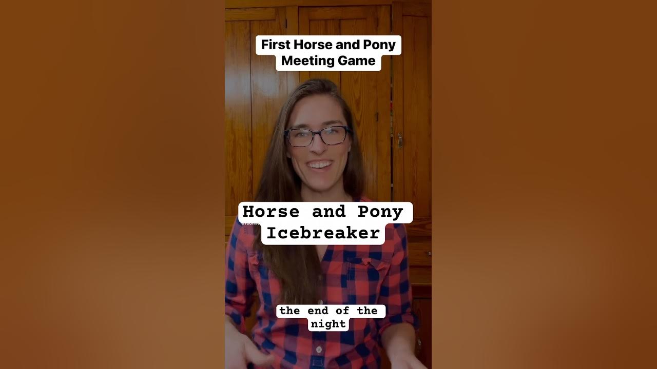 Here is a great icebreaker for any horse and pony meeting! - YouTube