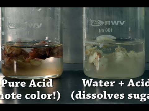 Dissolving Human Bodies! - CHM111 Lab 7 - YouTube