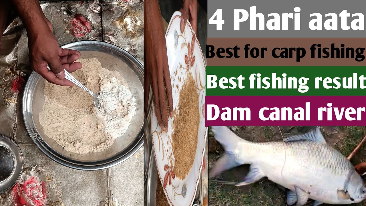 carp fishing formula|4 phari aata|best catla mirgal rahu aata - YouTube