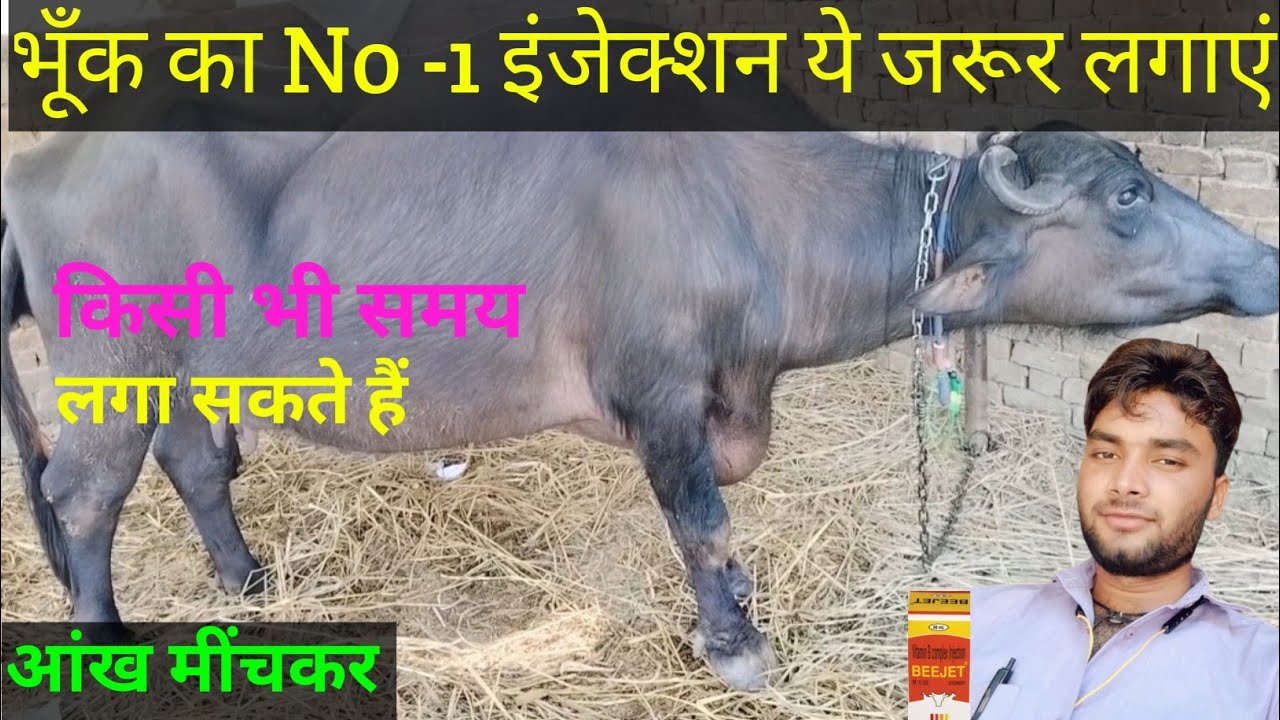 भूंक बढ़ाने का तरीका| भूंक कैसे बढ़ाएं| bhukh badhane ke upay # ...