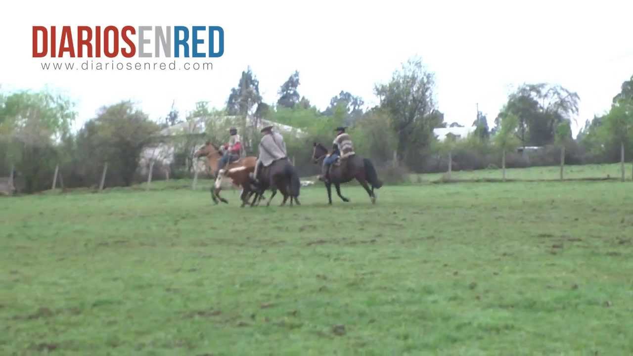 El Rodeo: la historia de un Campeón Nacional - YouTube