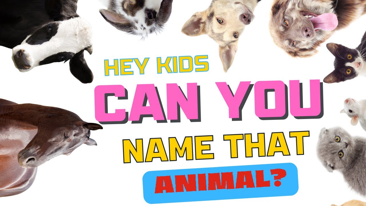 HEY KIDS! CAN YOU NAME THAT ANIMAL? - YouTube
