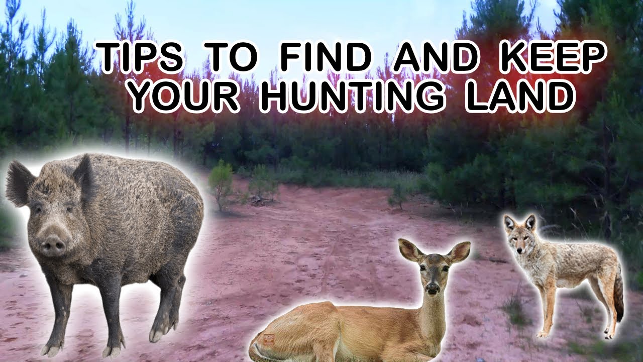Tips For Finding More Hunting Land - YouTube