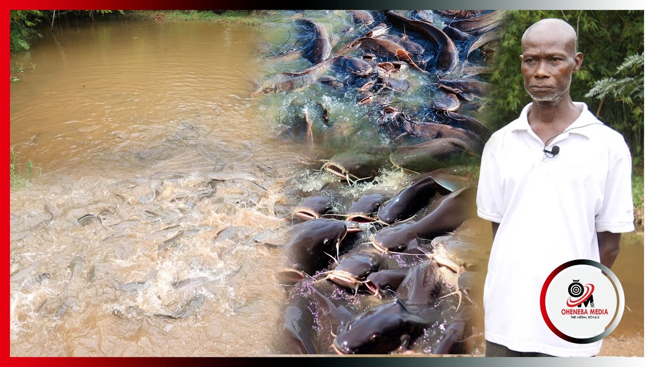 🔥Sh0cking! Over 10 People D!ed After Challenging This Powerful River ...