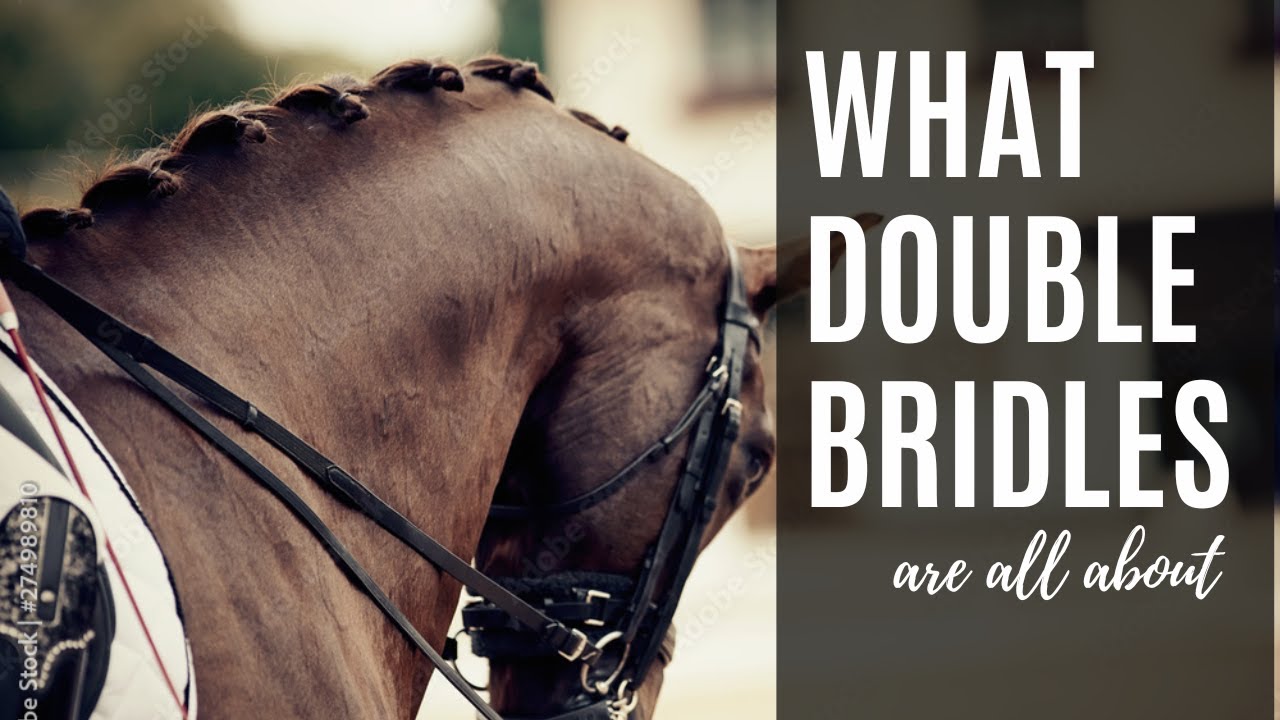 What Double Bridles Are | Equestrian Education - YouTube