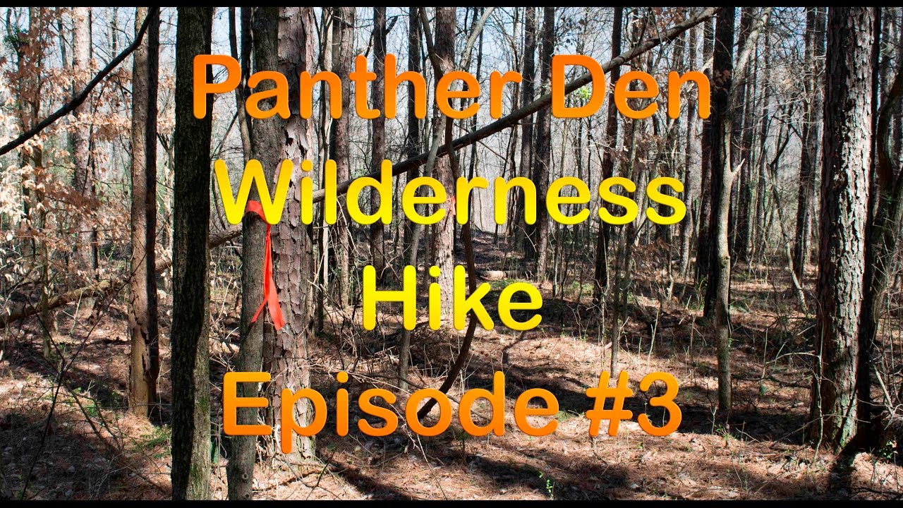 Discovering a New Trail at Panther Den Wilderness - Shawnee National ...