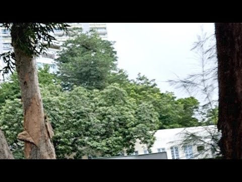 FIRST MEET & GREET TECHRAM & DAVE#dave#davemanalastas - YouTube