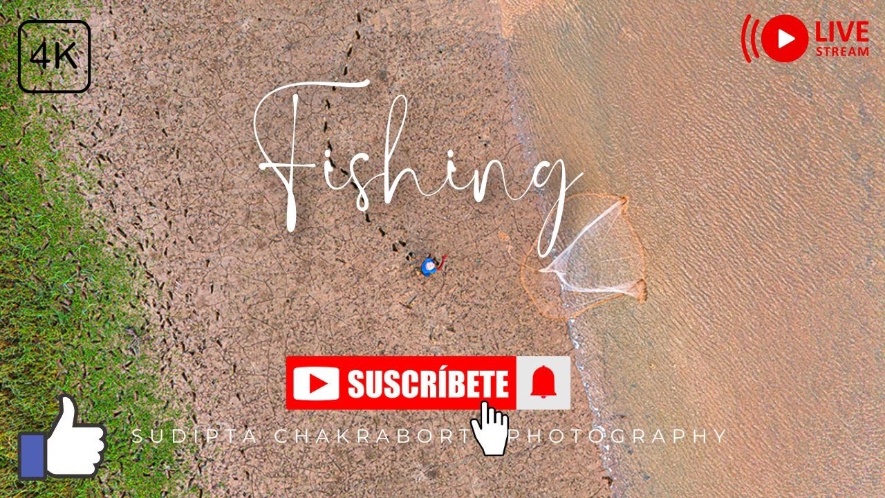 Fishing Adventure: Epic Catches from Above - YouTube