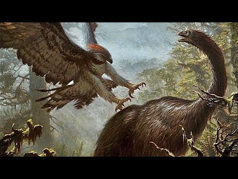 Haast's Eagle: The Magnificent Prehistoric Predator of New Zealand ...