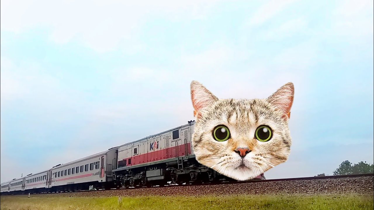 Funny Passenger Train Turns Into cat Head | Funny Train Videos - YouTube