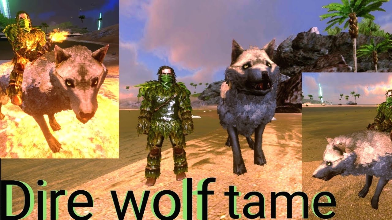 1 Prime mate tame high lavel power full Dire wolf 🥶🥶🥶: Ark mobile slow ...