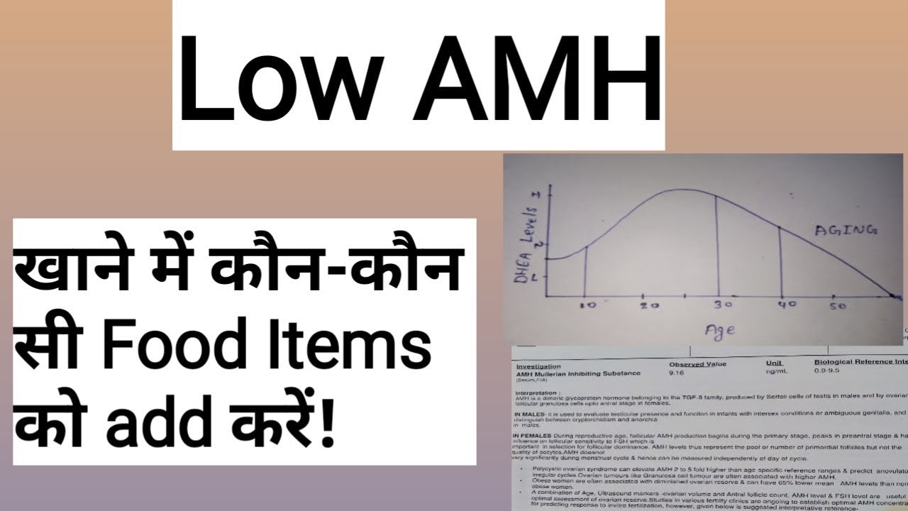 Low AMH | खाने में कौन- कौन से Food Item को add करे? - YouTube