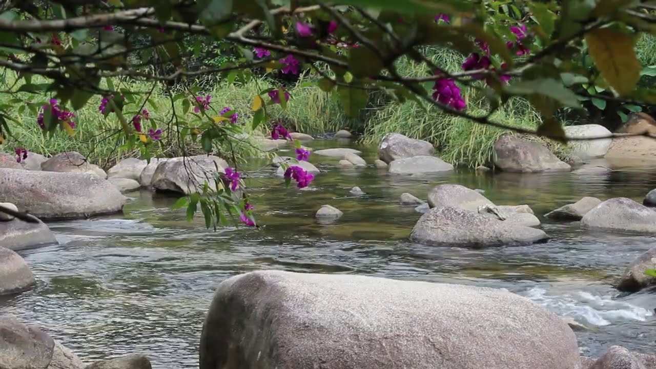 Relax Water Sounds To Help You Sleep | Easy Relax Sleeping 100% | 30 ...