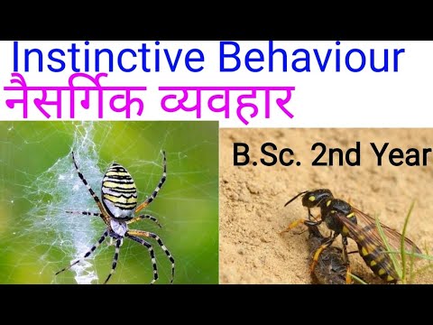 Instinctive Behaviour नैसर्गिक व्यवहार। example of Instinctive ...