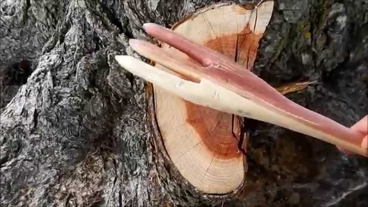 Kansas Bushcraft: Making a Fork - YouTube