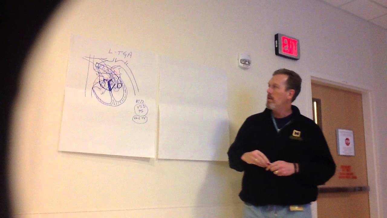 Dr. Charpie presents on L-TGA and Senning/Rastelli repair part 2 - YouTube