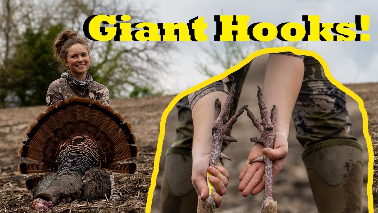 BIGGEST Turkey SPURS I've EVER Seen - YouTube
