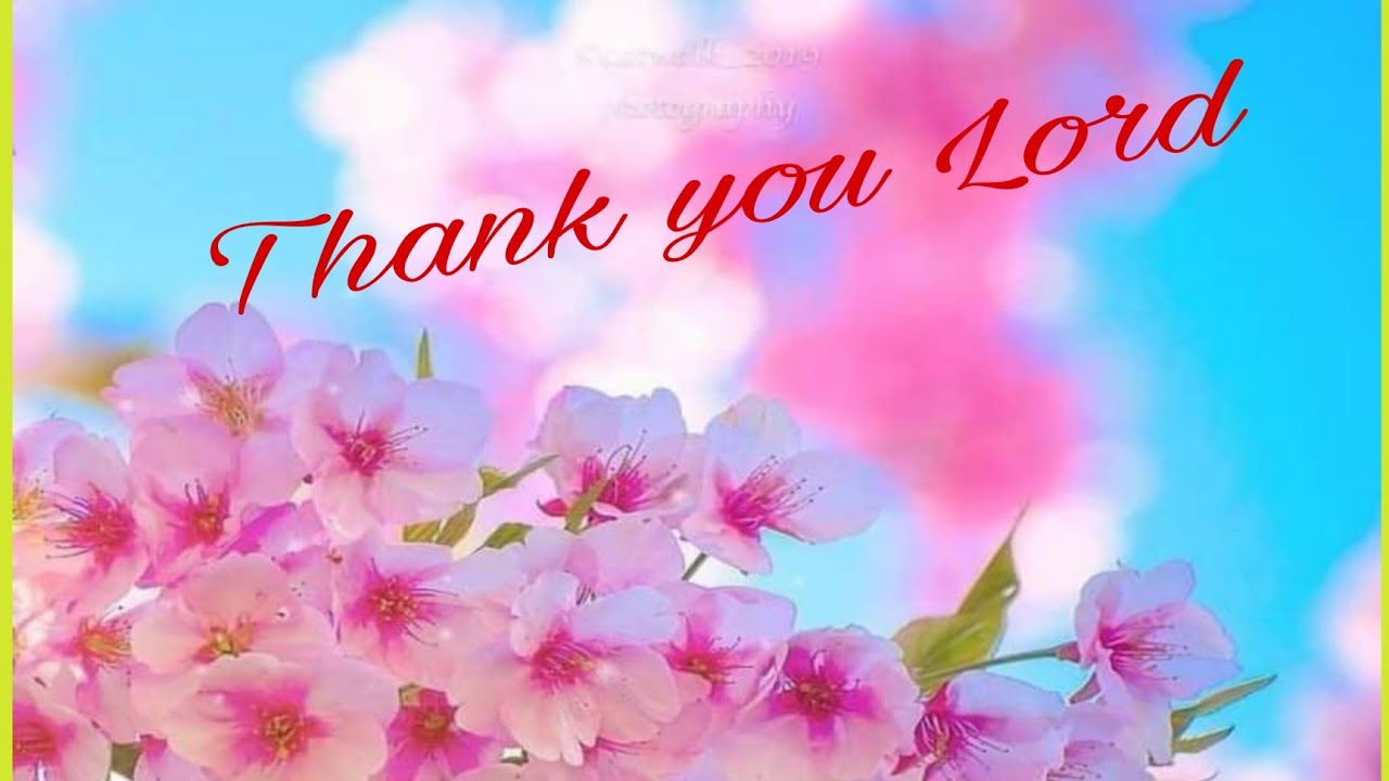 Beautiful Flower's from God - YouTube