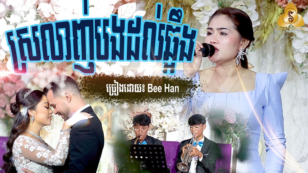 ស្រលាញ់បងដល់ឆ្អឺង ច្រៀងដោយកញ្ញា Bee Han [Chamrogn Entertainment] - YouTube