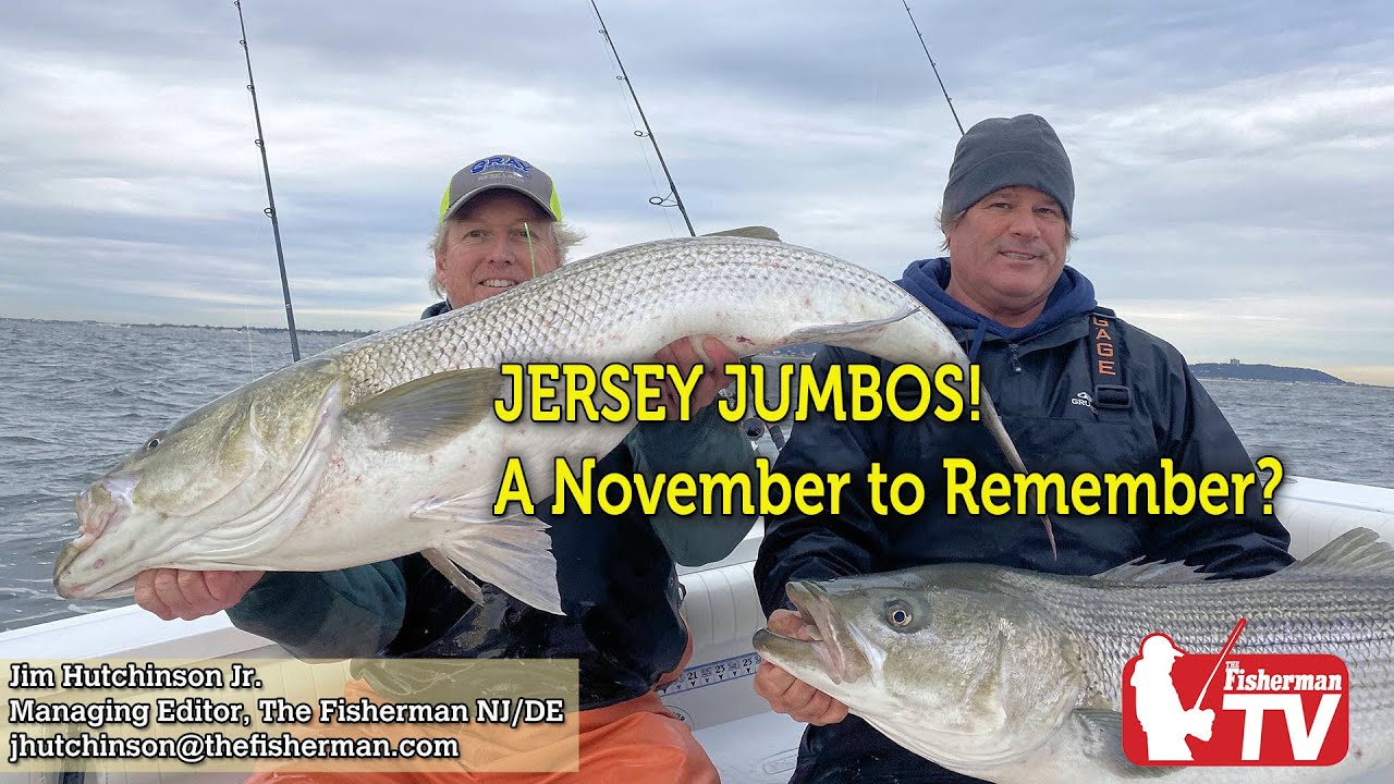November 4, 2021 New Jersey/Delaware Bay Fishing Report - YouTube