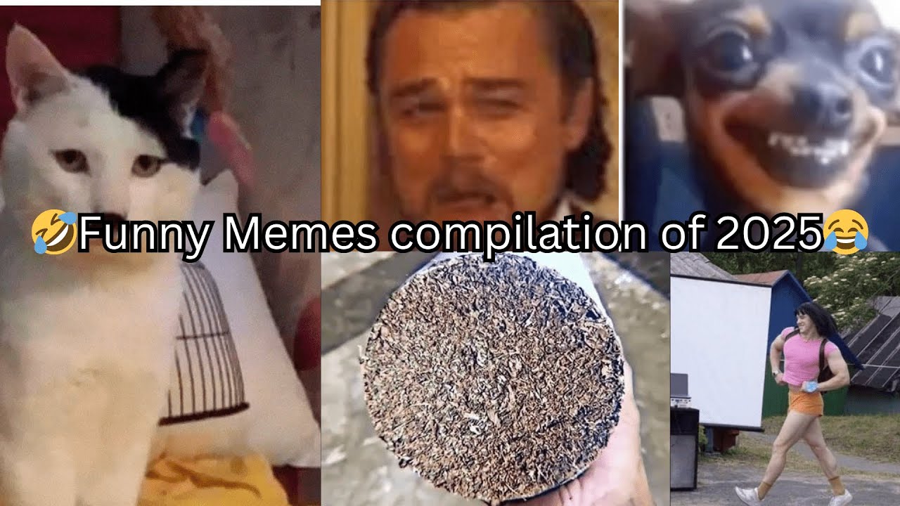 Funny memes compilation try not to laugh - YouTube