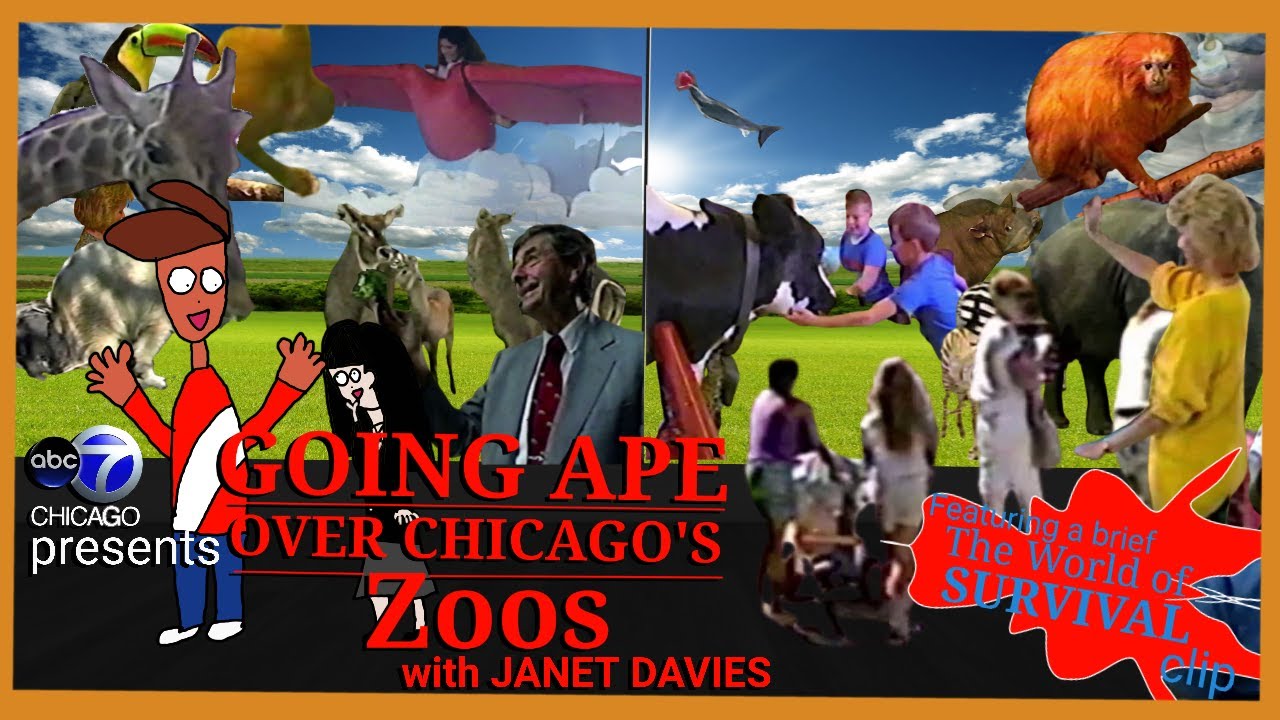 Going Ape Over Chicago's Zoos (Rare WLS special from 1988) - YouTube