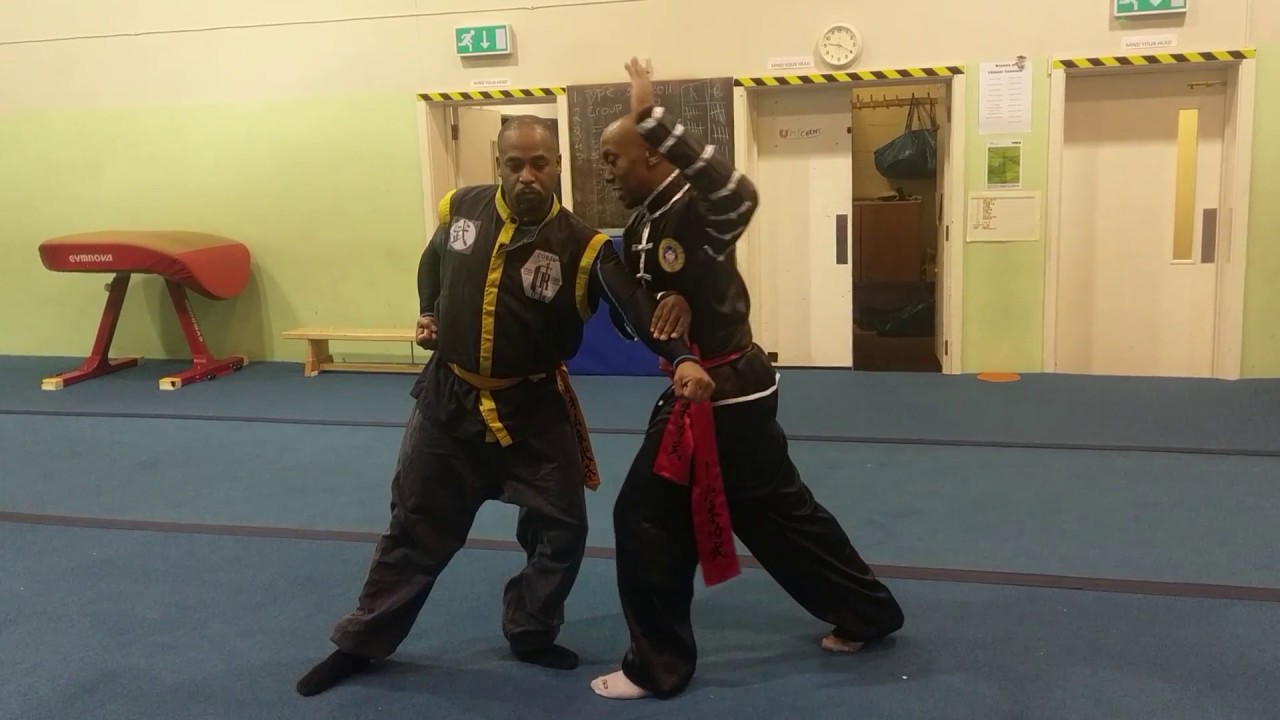 Fighting Techniques Video 4 Double Punch Takedown Northern Praying ...