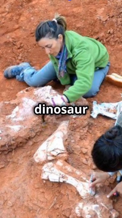 Worlds Oldest Dinosaur Fossil Found In Brazil Youtube