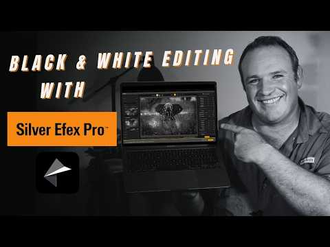 The Ultimate Guide to Black and White Editing with Silver Efex Pro for Wildlife Photography