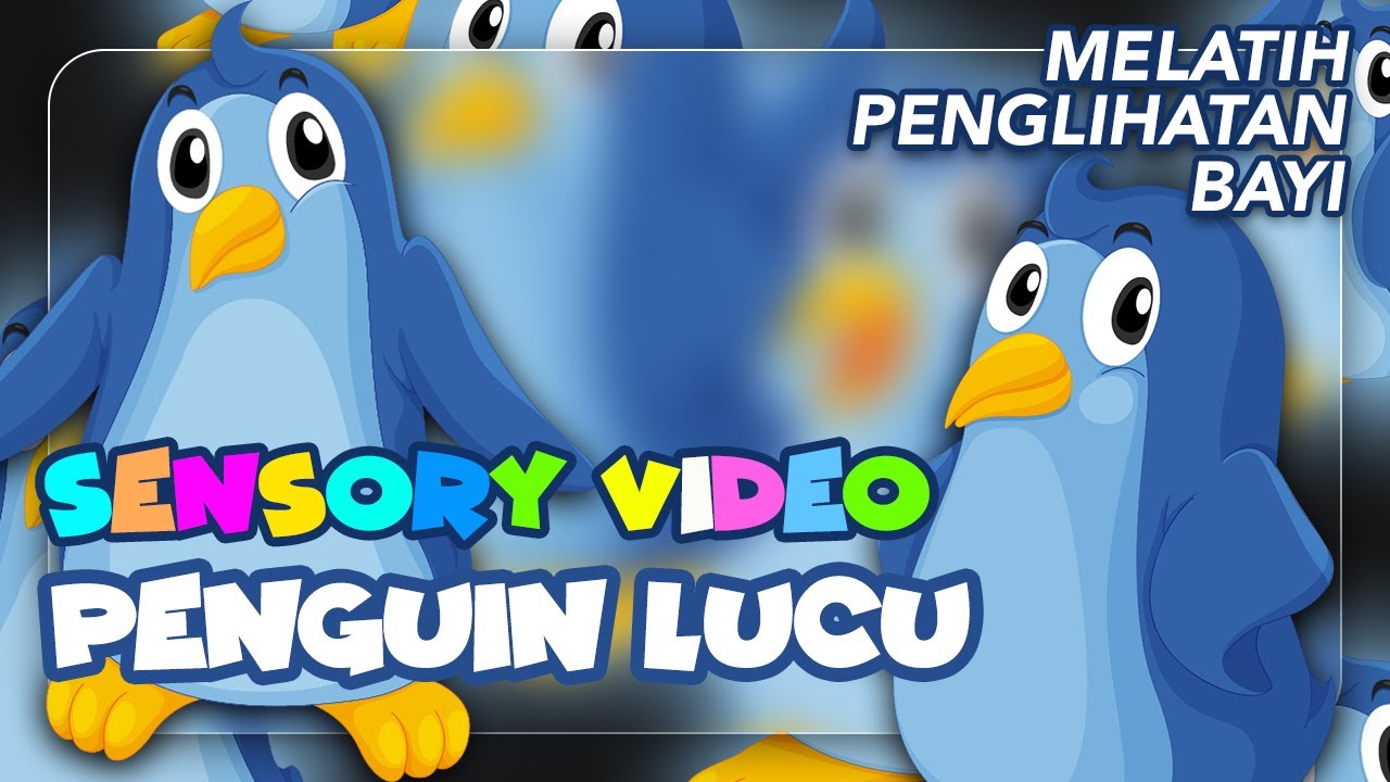 Penguin Biru Lucu - Animasi Video Untuk Bayi Usia 3-6 Bulan | Sensory ...