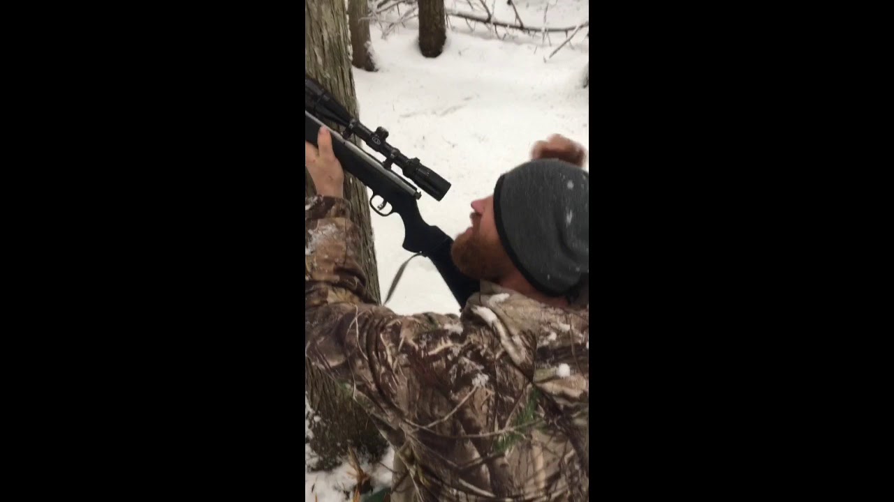 JD’s North Idaho bobcat hunt/ kill shot - YouTube