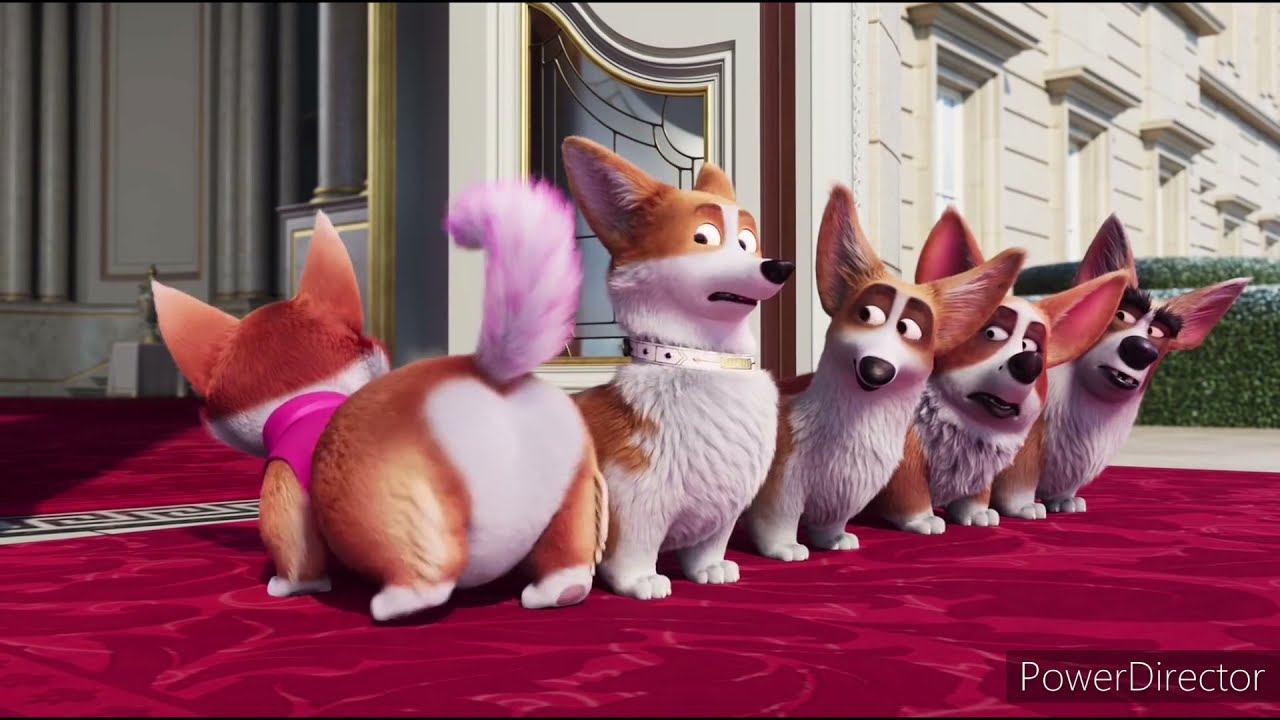 the queen's corgi: mitzi's butt scene 1 - YouTube