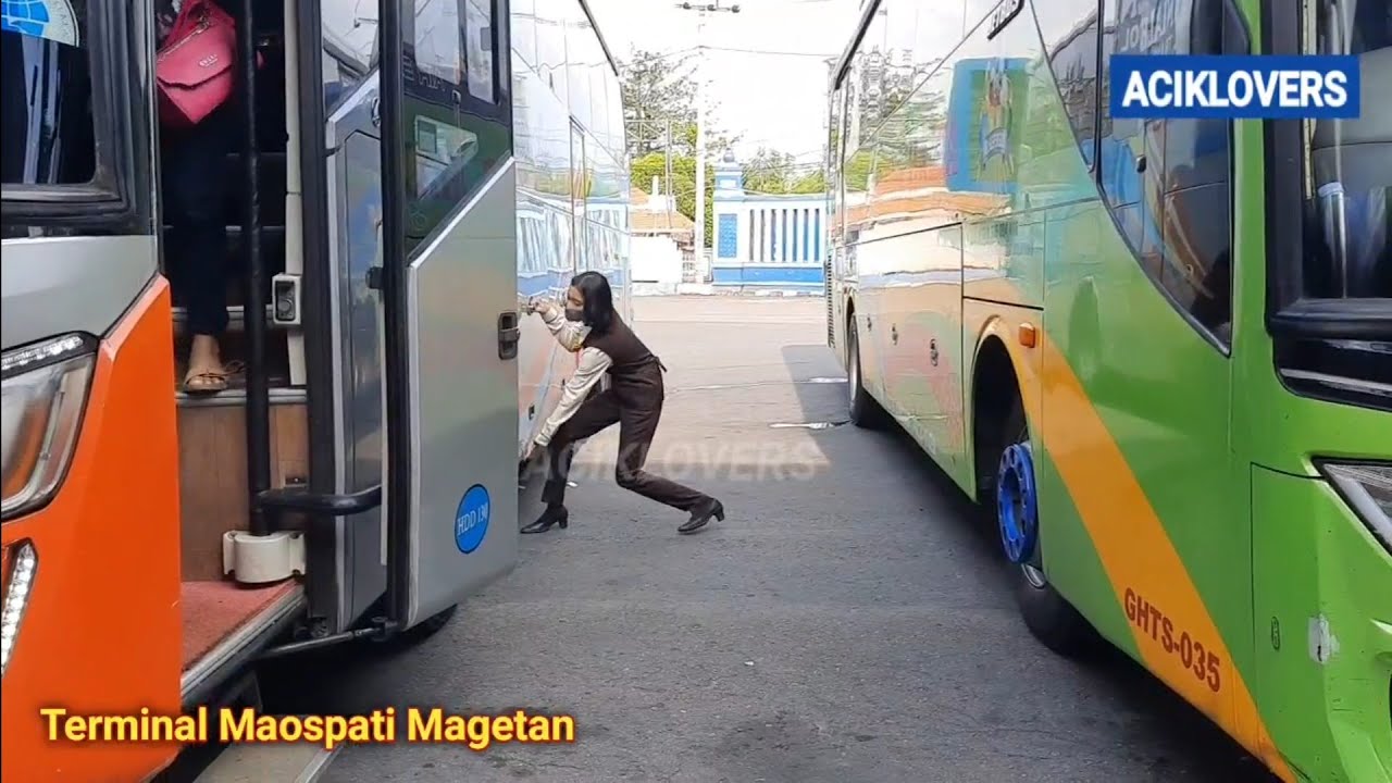 EMMA Menutup Bagasi - Pramugari Bus Rosalia Indah Terminal Maospati ...